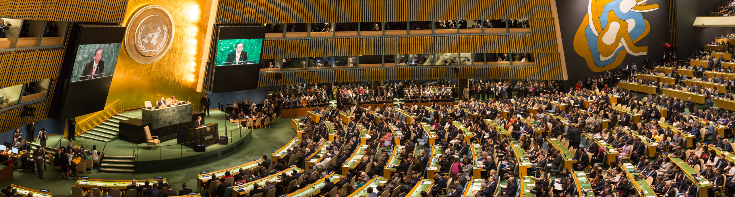 United Nations Representatives
